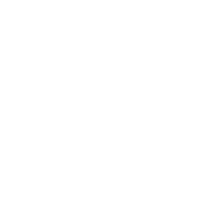 Misr Language School